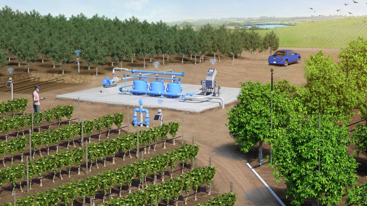 Orchard Drip Irrigation Systems | Netafim