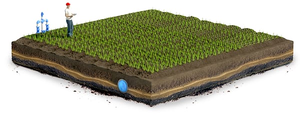 Project Life-Cycle by Netafim | Help for Agricultural Projects