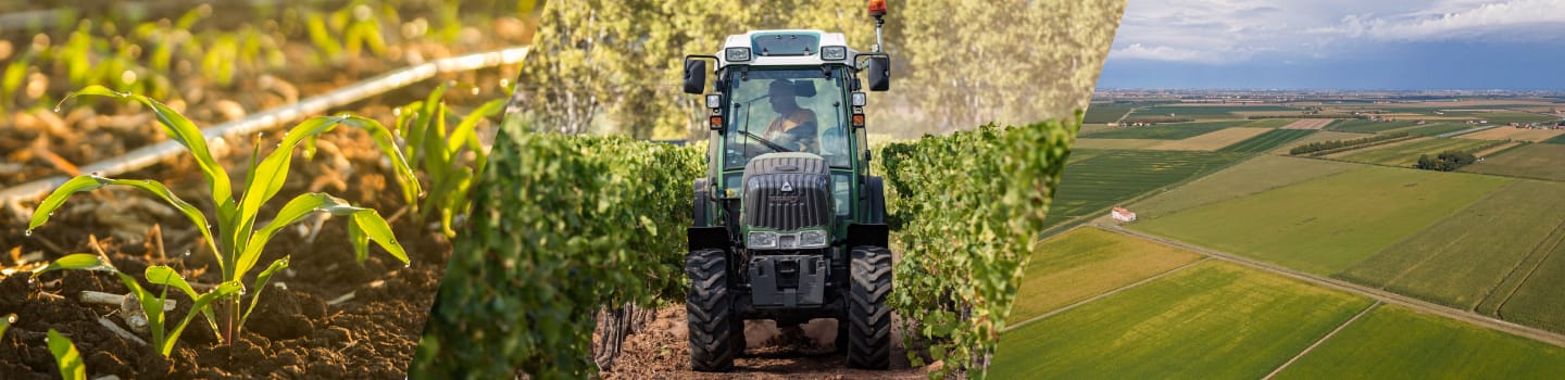 Precision Irrigation Systems | Netafim