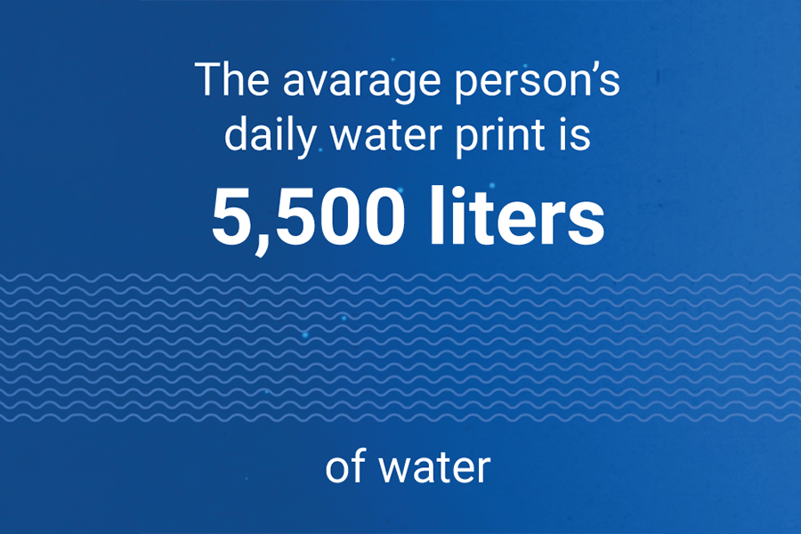 Water Use Efficiency With Precision Irrigation Netafim