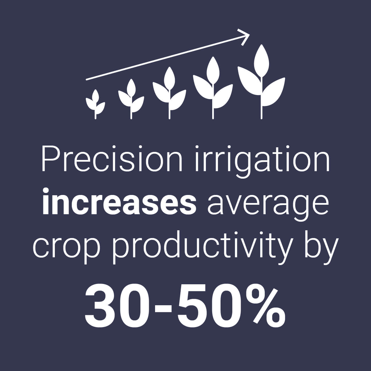Precision Irrigation Systems | Netafim