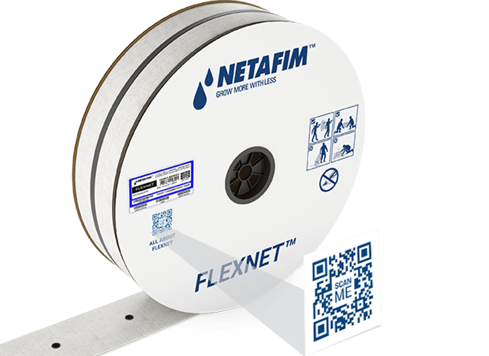 Flexible and PE pipes | Netafim