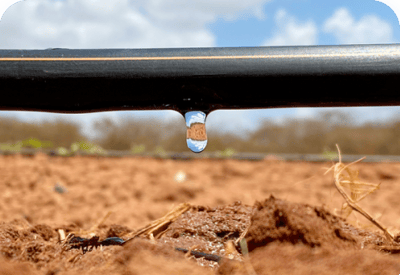 GrowSphere™ Monitoring – The OS for Precision Irrigation and ...
