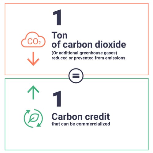 Carbon Credits | Netafim