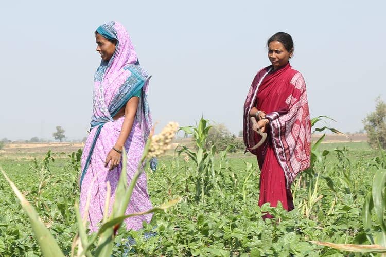 Community Irrigation & Rural Development Projects | Netafim