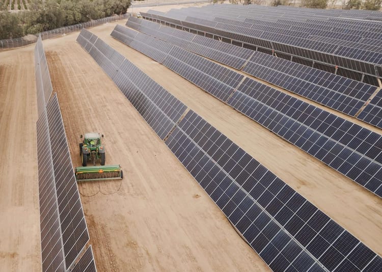 Agri-PV: Transforming Agriculture with Solar Energy | Netafim