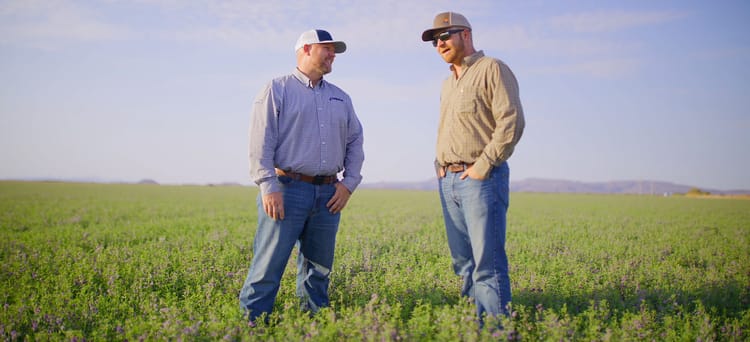 Carbon Credits | Netafim