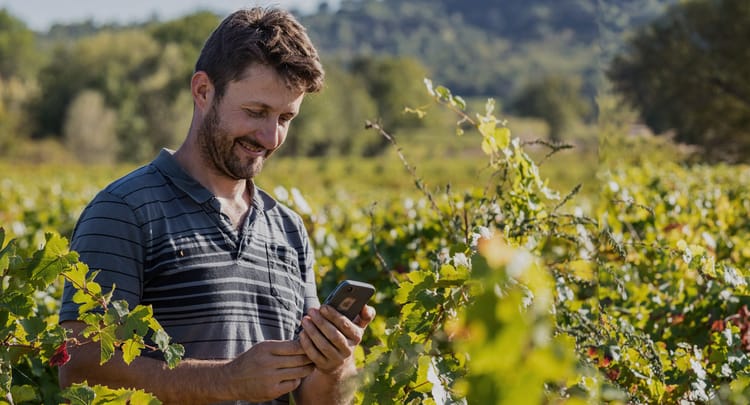 Global leader in sustainable irrigation solutions | Netafim