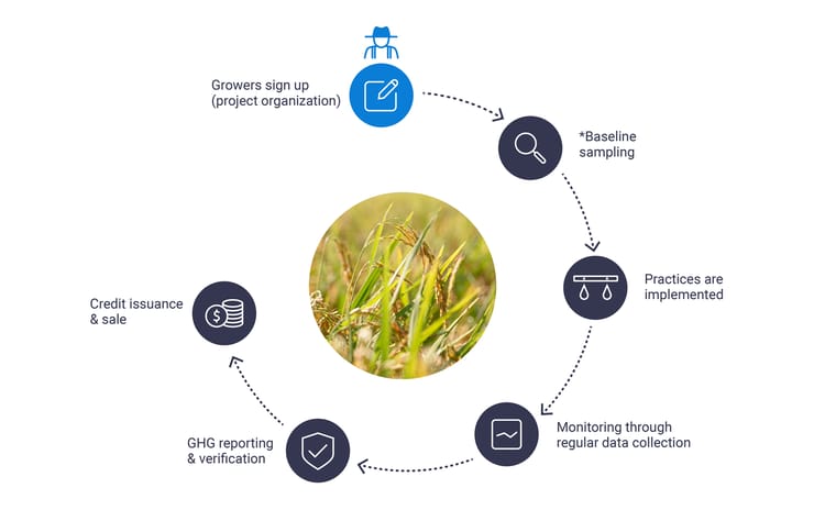 Carbon Credits | Netafim