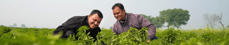 How Better Life Farming is Uplifting Smallholders | Netafim