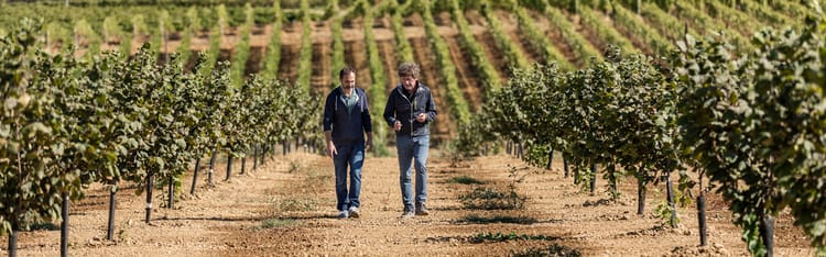 Will digital tools replace the field work of agronomists