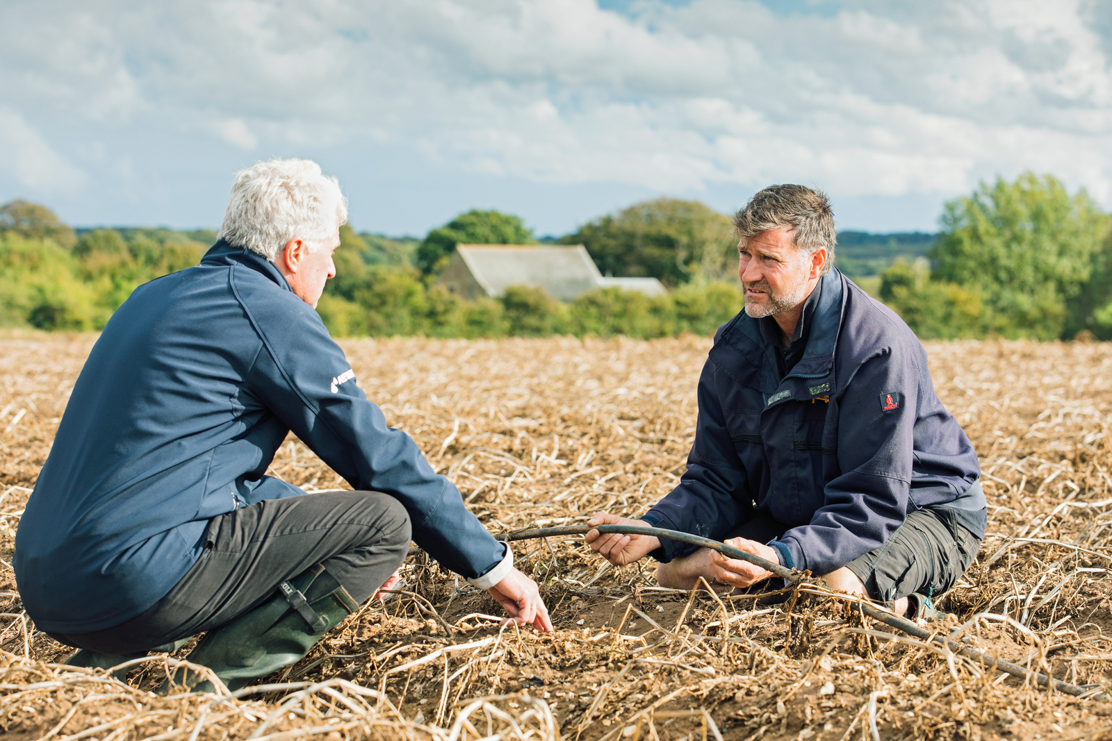 Increase Potatoes Yield Using Drip Irrigation | Netafim