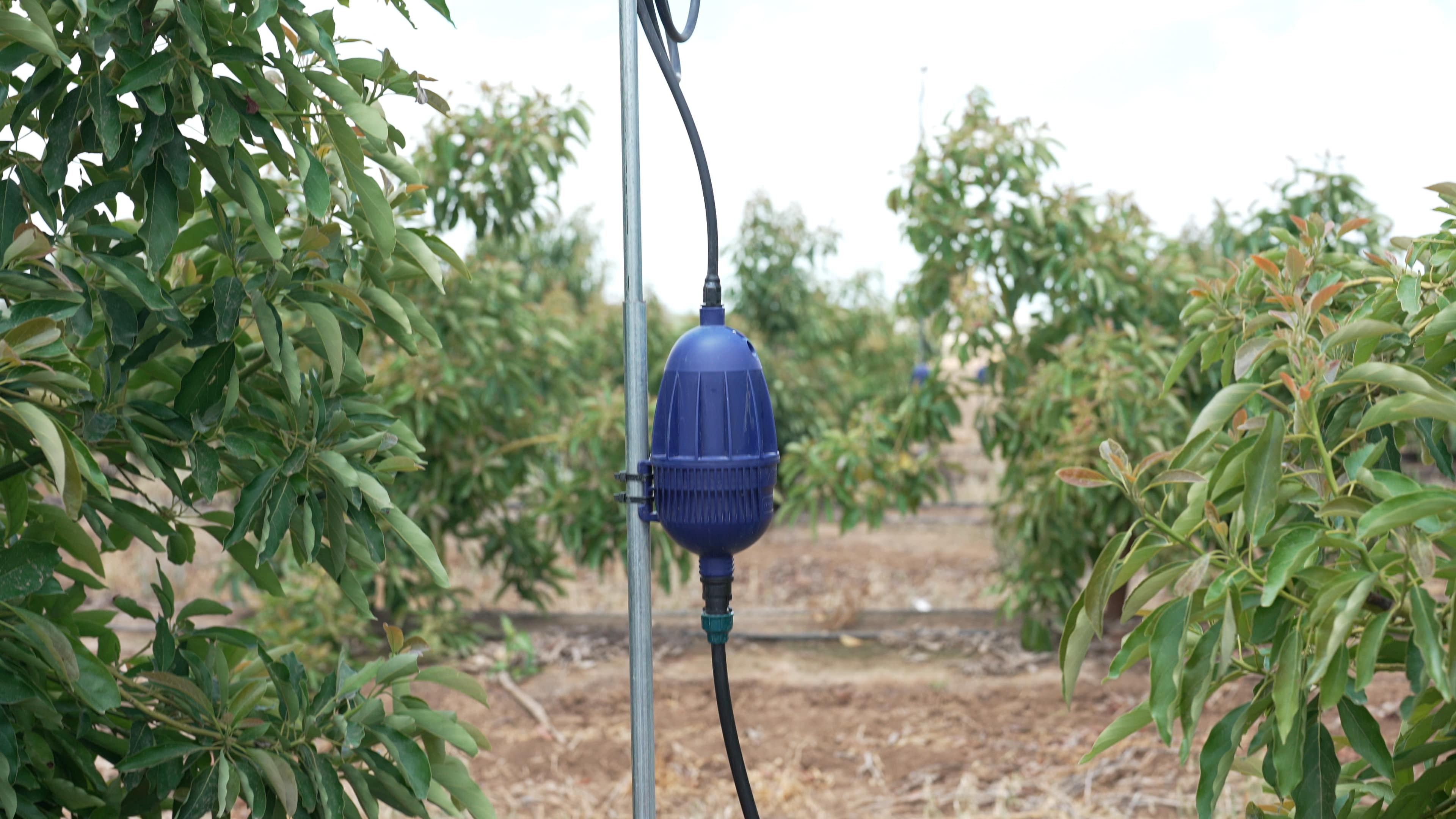 Orbia Netafim Introduces Mega-PULSAR™ to Protect Orchards from Extreme ...