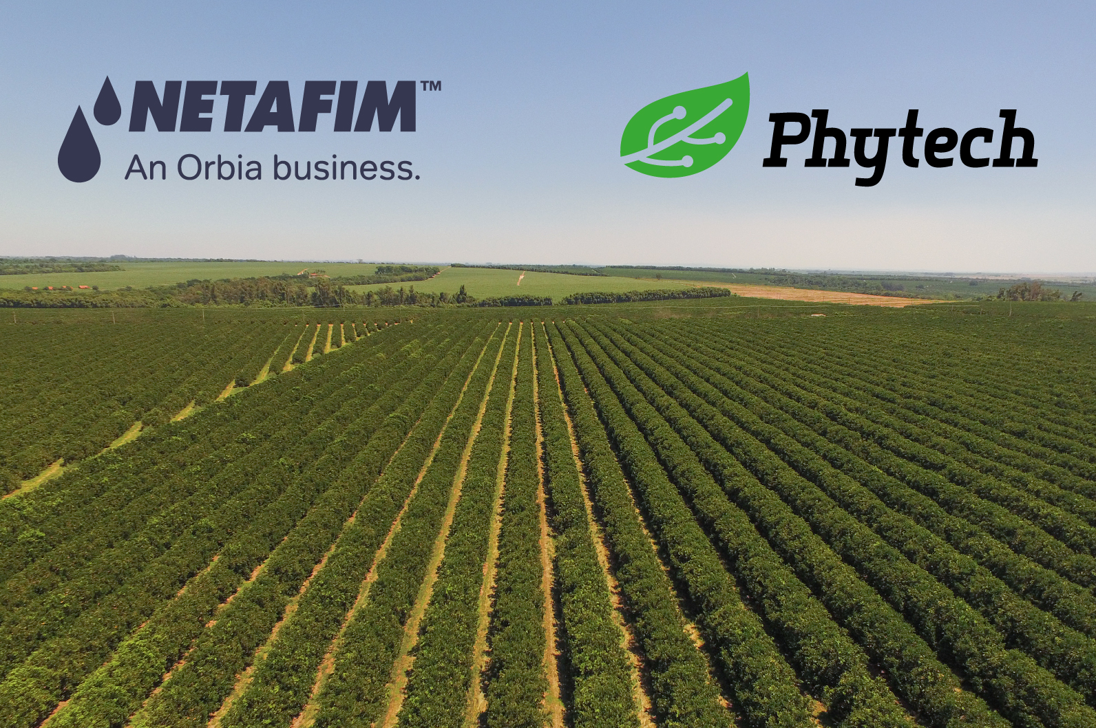 Orbia Precision Agriculture Netafim and Phytech Collaborate to Optimize Digital Farming