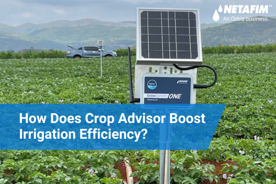 Crop Advisor: Your Solution to Irrigation Uncertainty