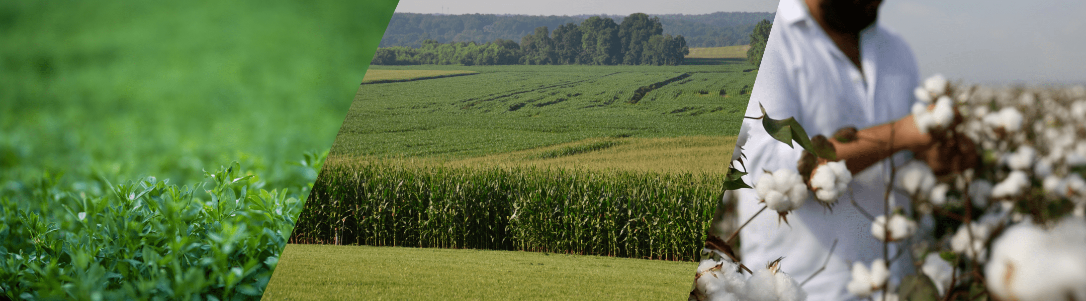 SDI-GO™ Set and succeed | Netafim