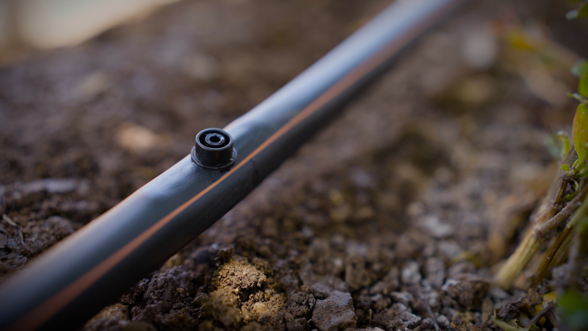 Hybrid | Drip Irrigation Systems | Netafim