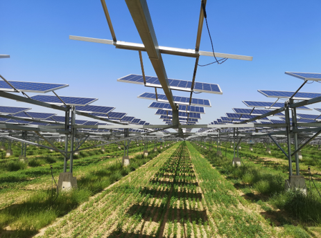 Agri-PV: Transforming Agriculture with Solar Energy | Netafim