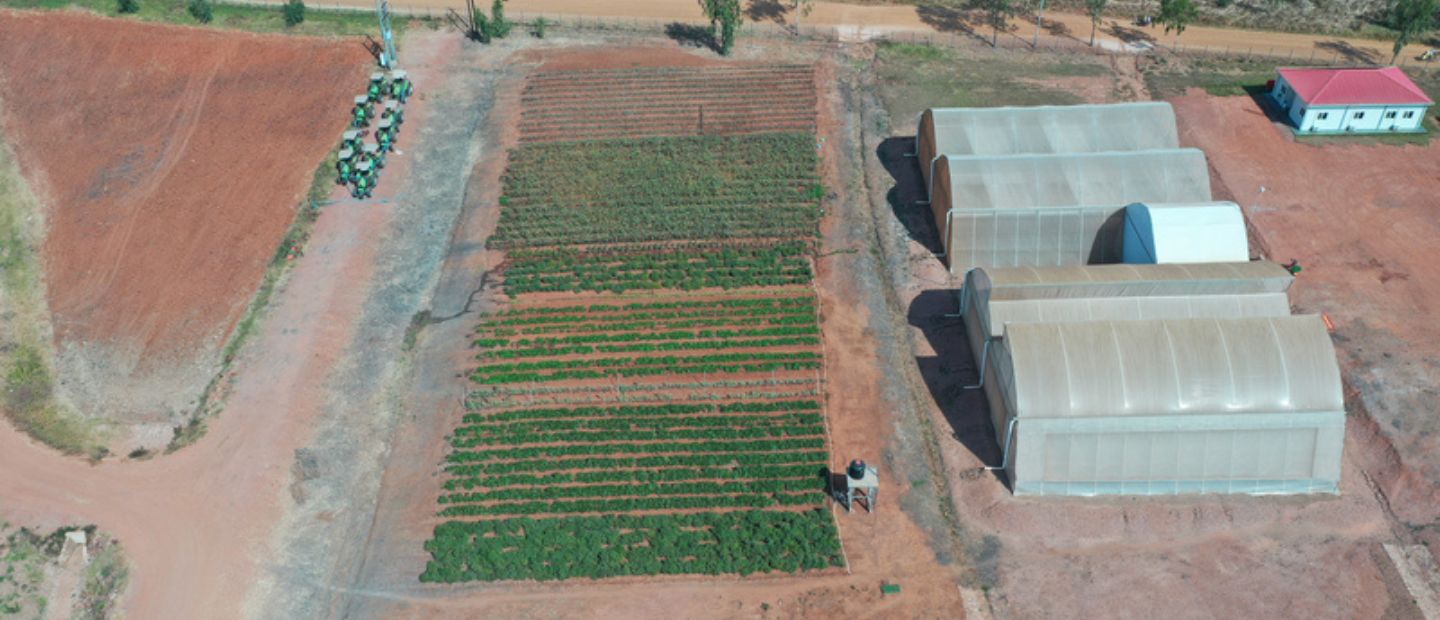 Netafim Agriculture Projects | Netafim