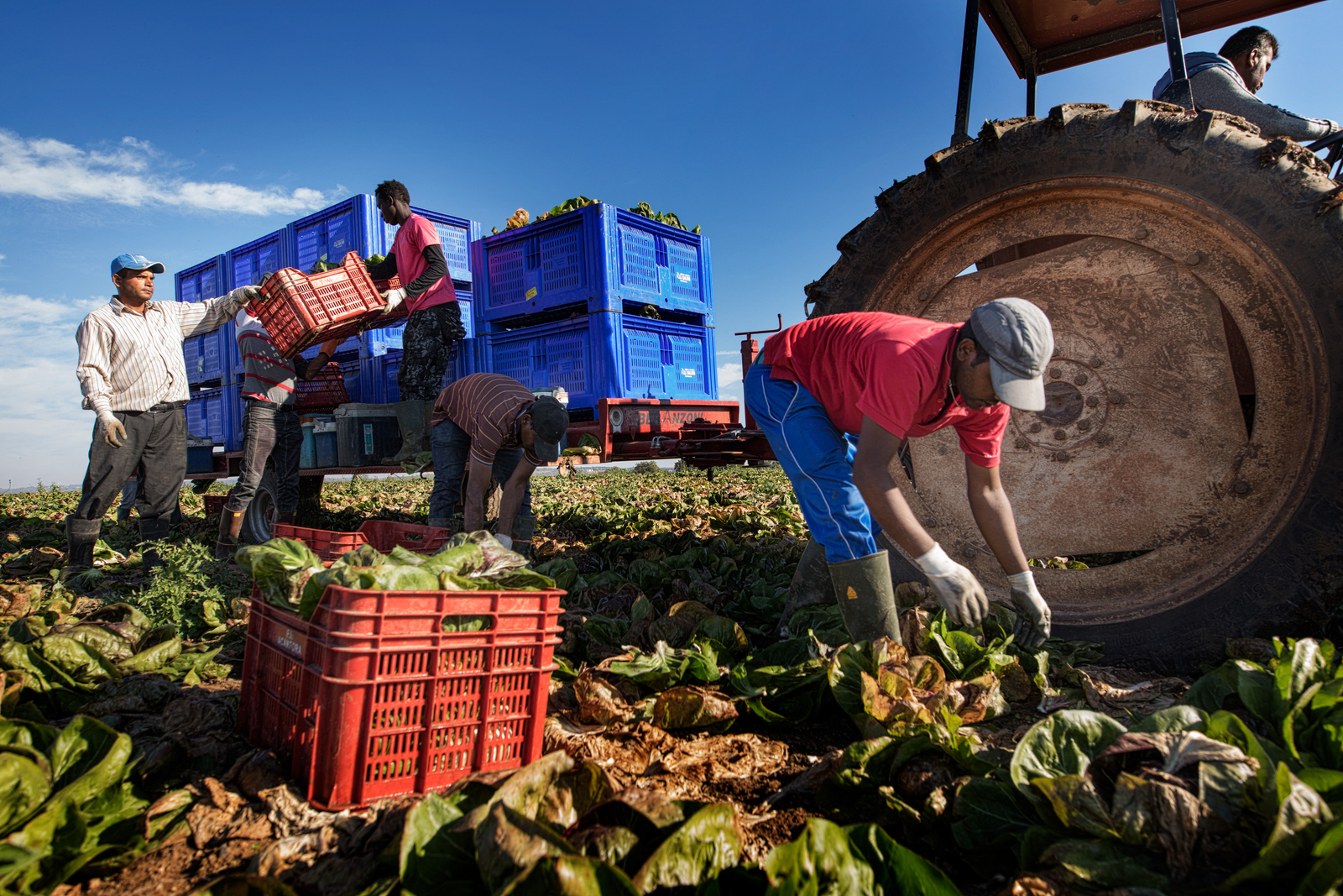 Creating sustainable food value chain for a food-secure future