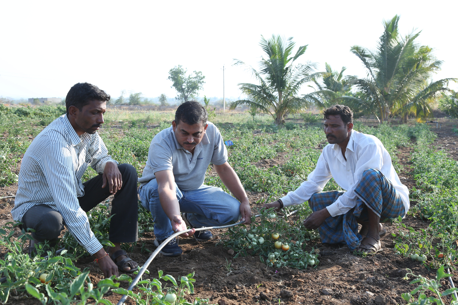 The Future of Farming: Smart Community Irrigation Solutions