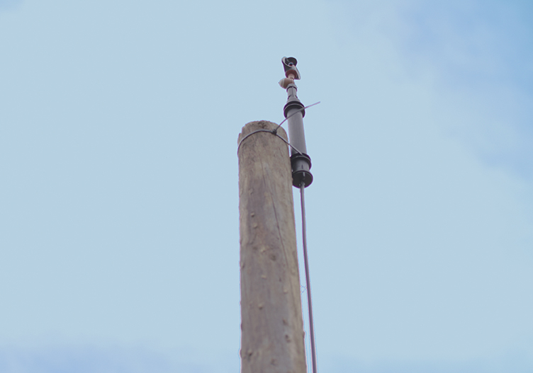 Save money on frost protection with sprinkler irrigation I Netafim