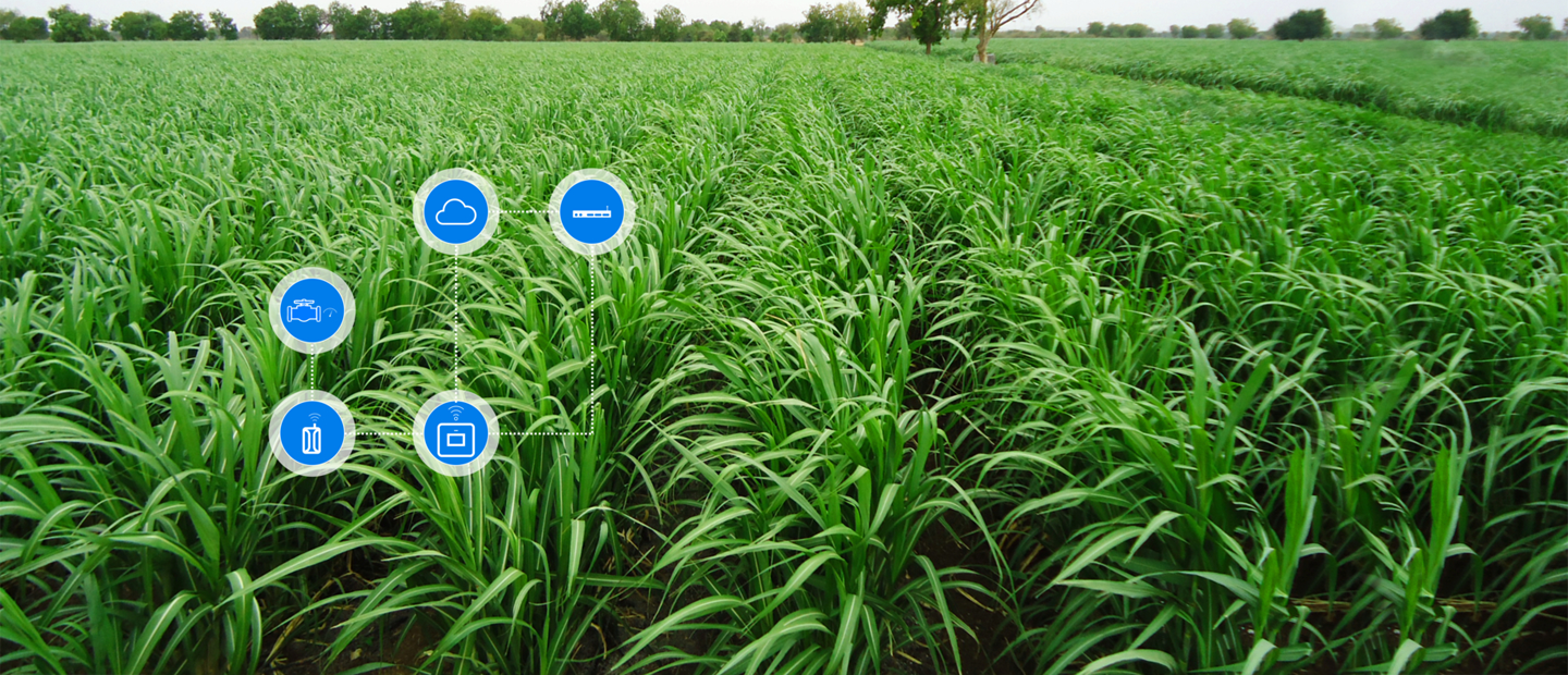 Interview with Lior Peleg | Netafim Blog