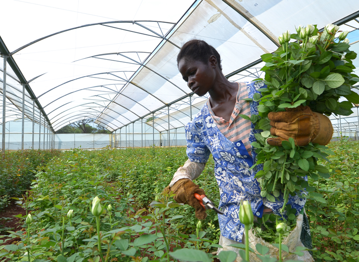 Creating sustainable food value chain for a food-secure future