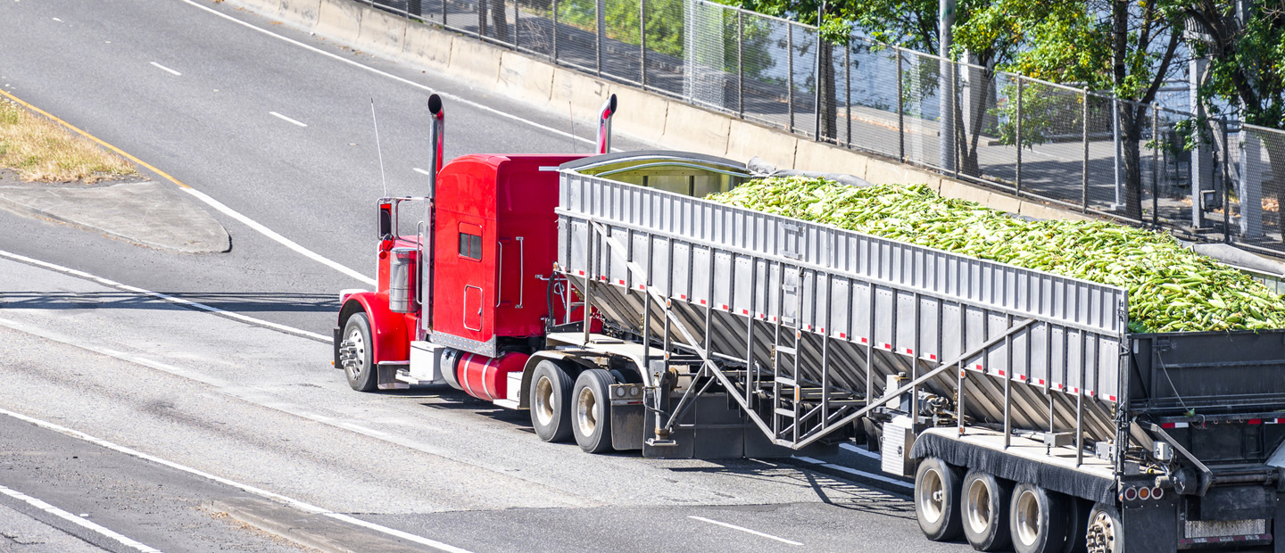 How Fresh is your food? EAT LOCAL, FRESH SEASONAL FOOD.