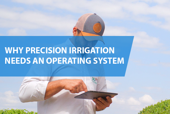 Gravity Irrigation System