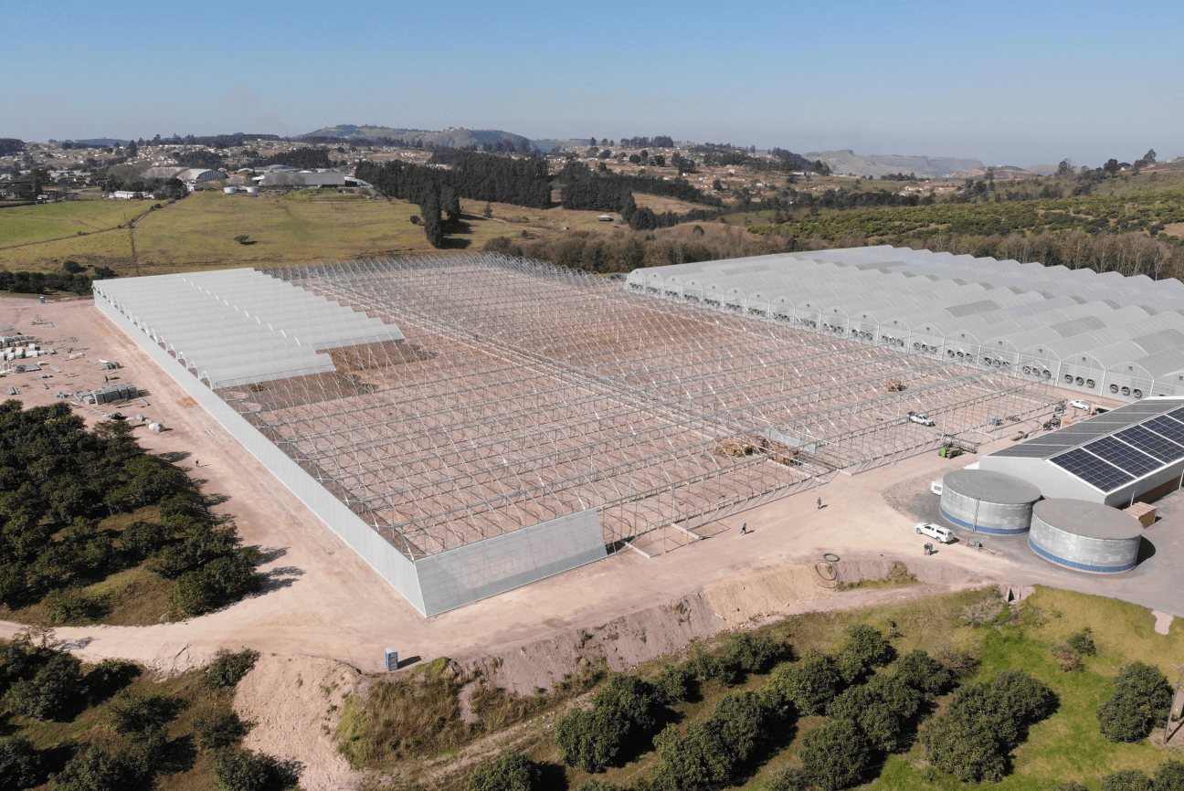 The 5 Phases of Greenhouse Project Management - Netafim