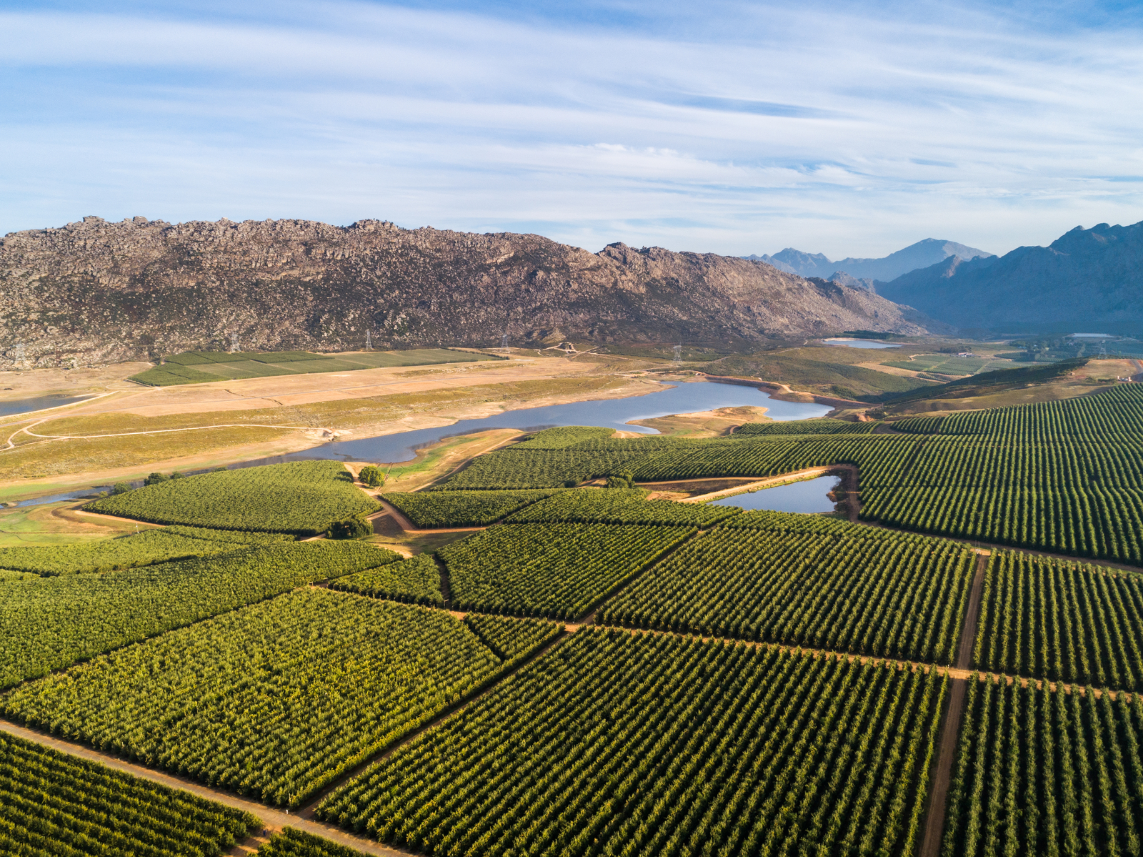 Irrigation Services | Netafim