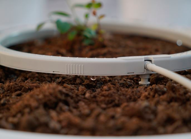 Cultivation Solutions | Netafim USA