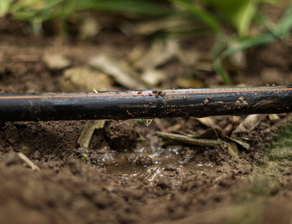 Precision Irrigation Systems Netafim
