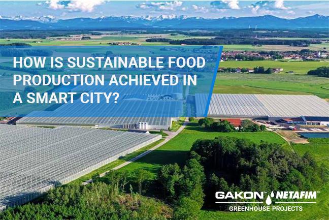 Sustainable food production in a smart city