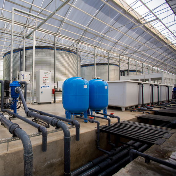 Grower Solutions Greenhouse | Greenhouse Watering System | Netafim