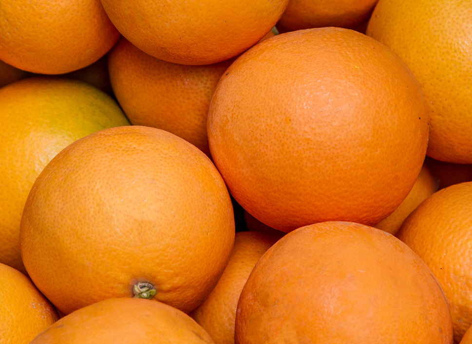 Drippers and Driplines Solutions | Netafim