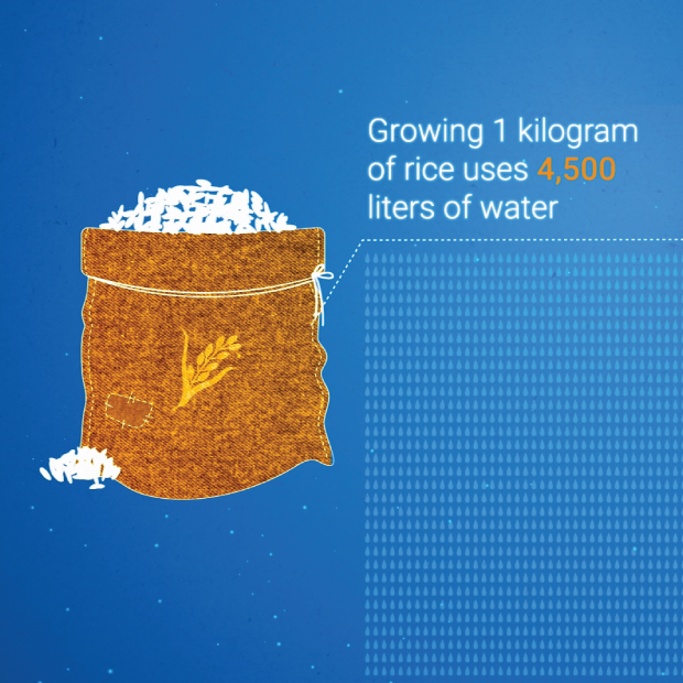 Water Use Efficiency With Precision Irrigation Netafim