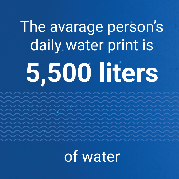 Water Use Efficiency With Precision Irrigation Netafim