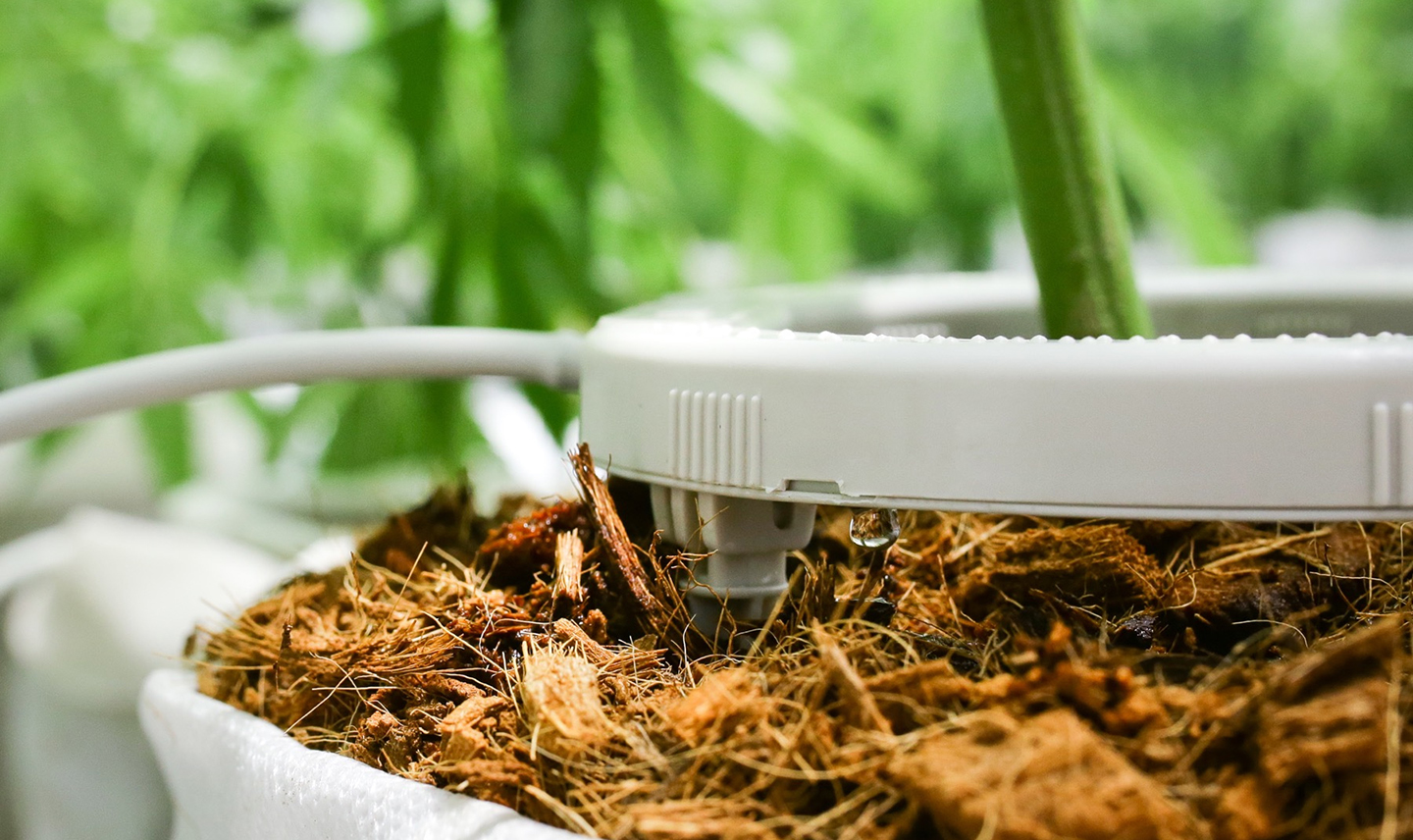 NetBow™ | Netafim | Products and Solutions