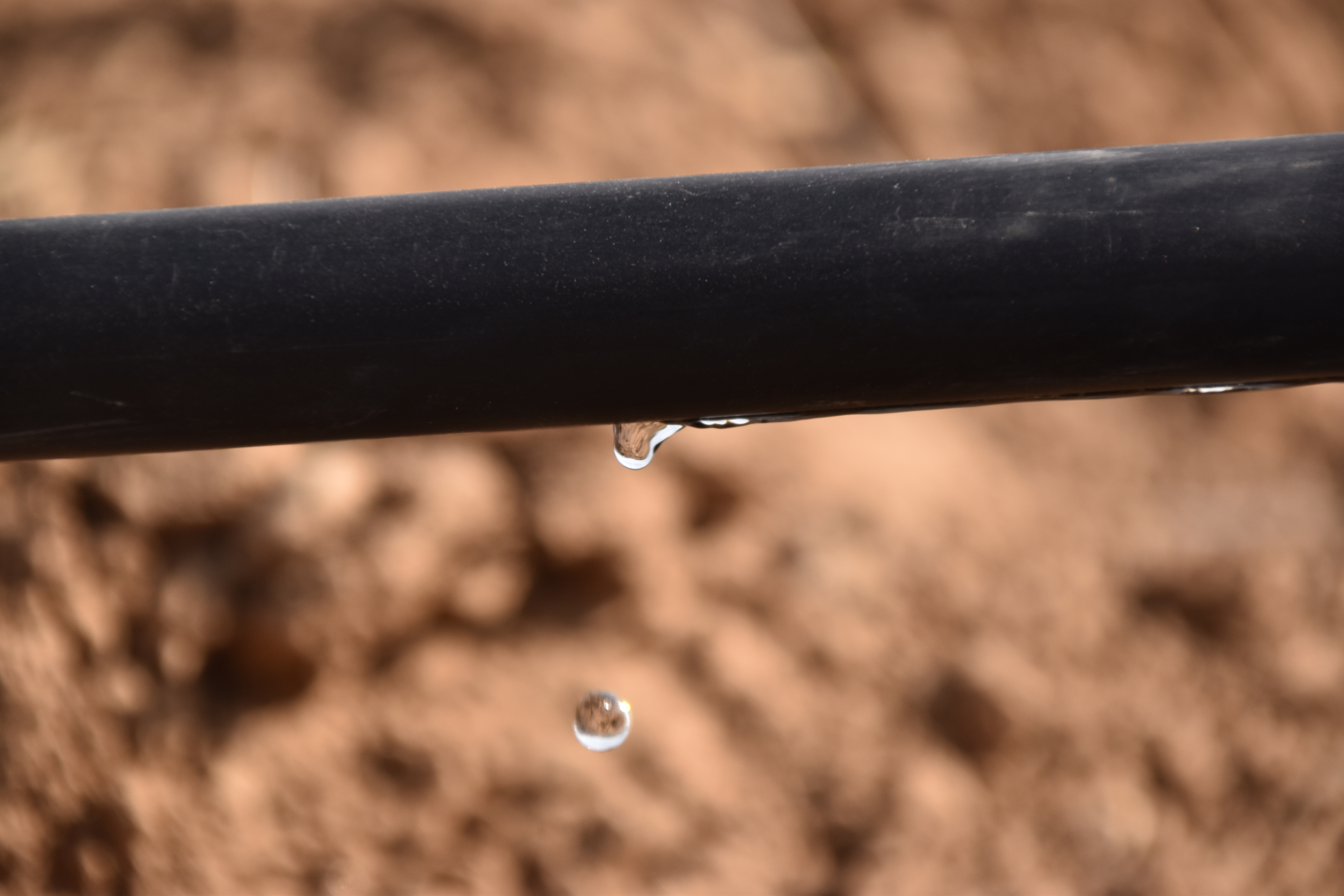 Flexible and PE pipes | Netafim