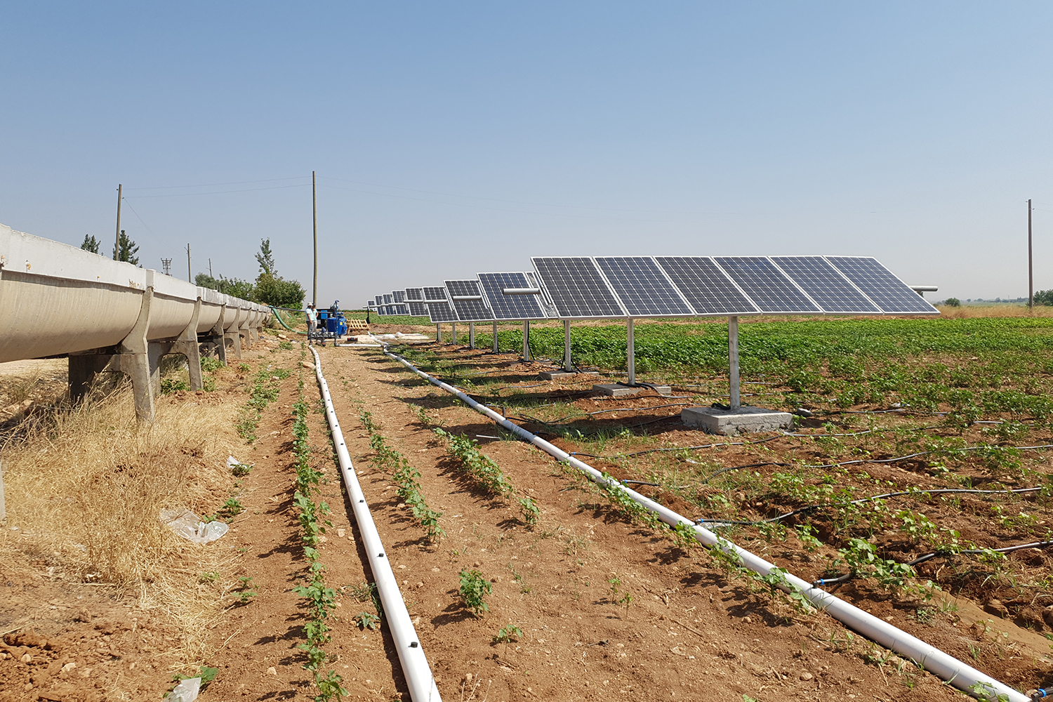 Low Energy | Gravity Drip Irrigation System