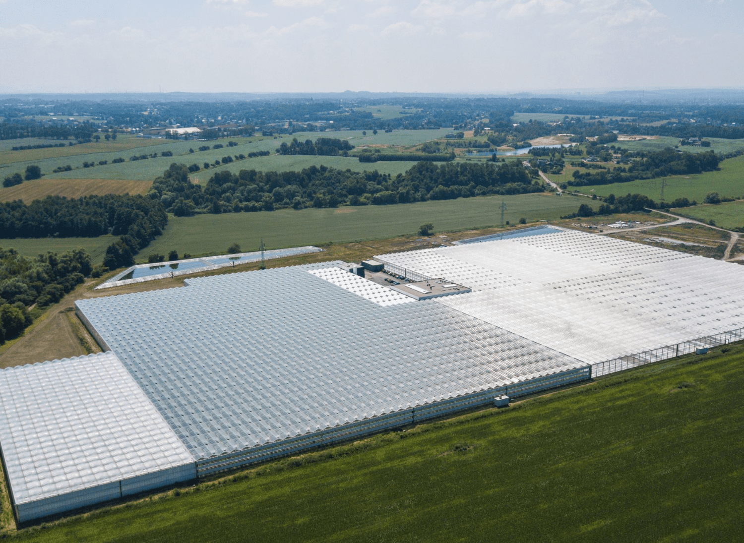 Commercial Greenhouse Farma Bezdinek