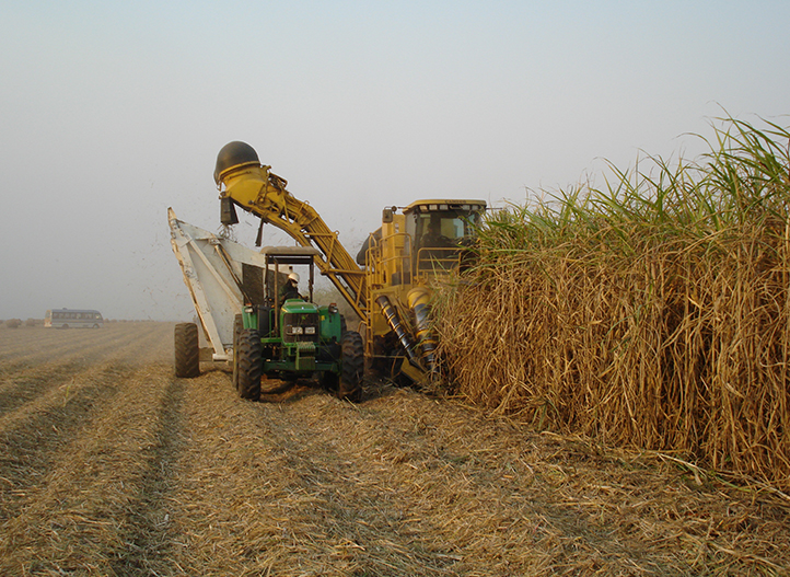 Eswatini Sugarcane | Netafim Success Stories Eswatini Sugarcane | Netafim Success Stories