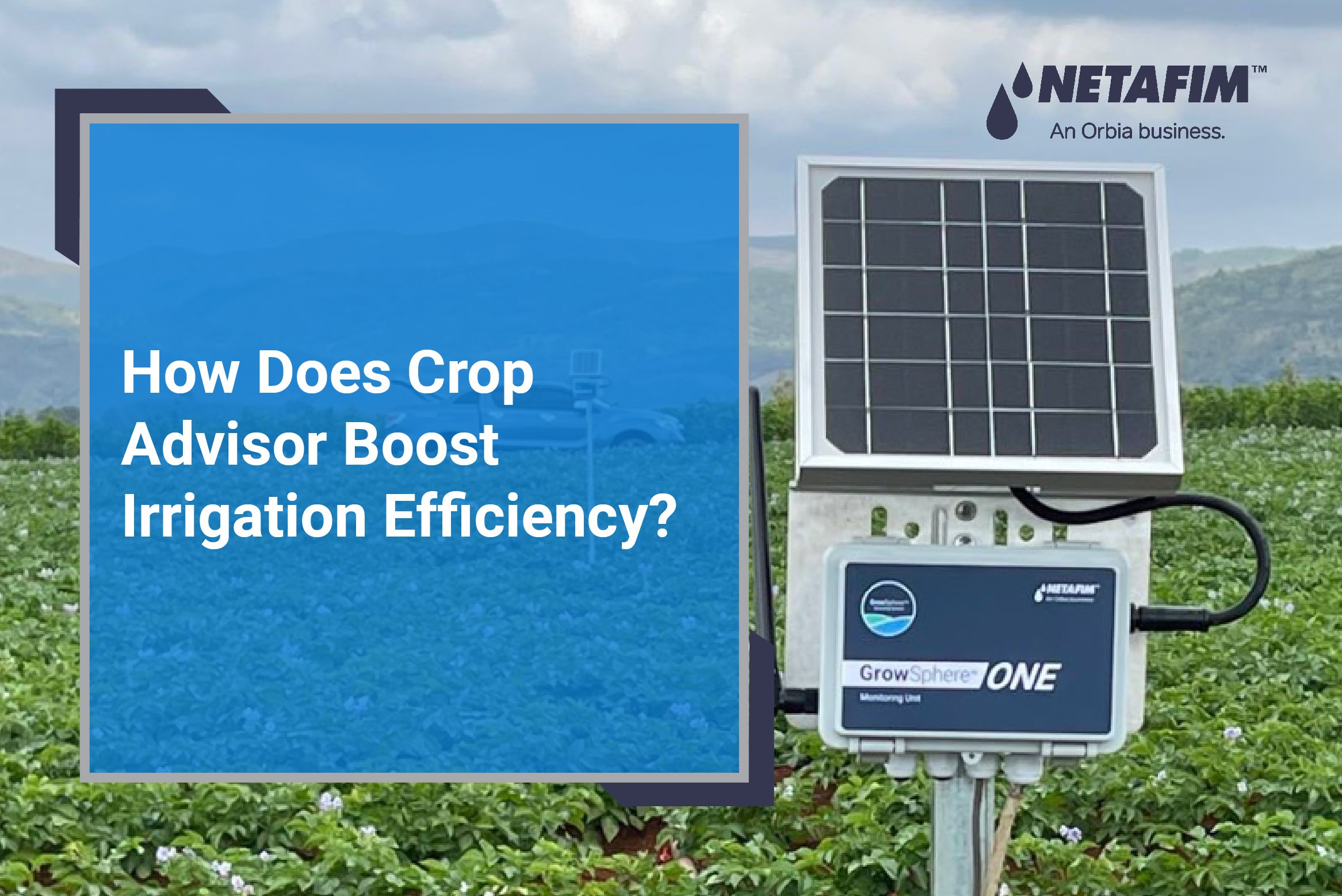 Crop Advisor: Your Solution to Irrigation Uncertainty